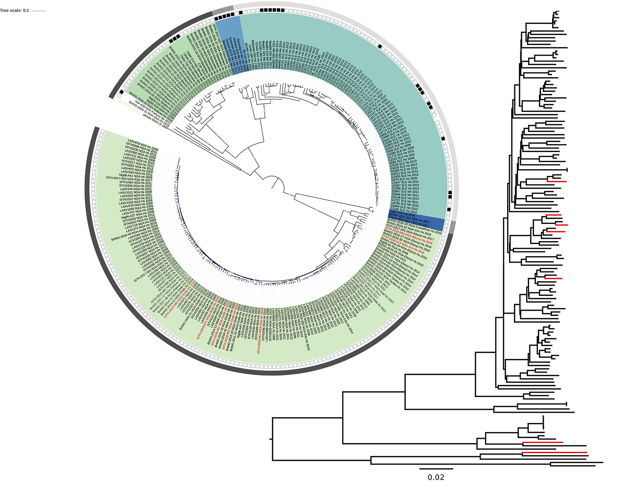 2018 LASV sequencing - Lassa virus - Virological