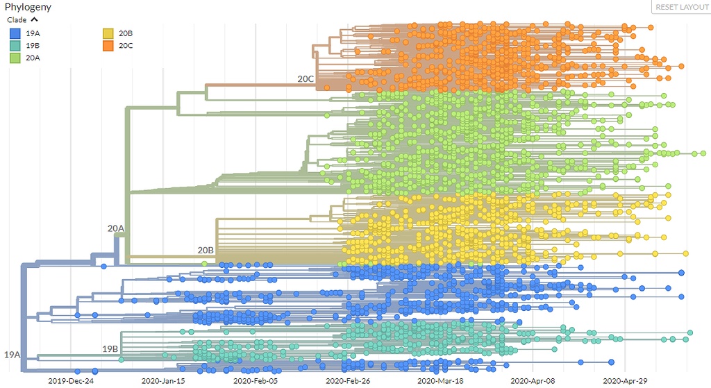 Year-letter Genetic Clade Naming for SARS-CoV-2 on Nextstrain.org - Software and Tools - Virological