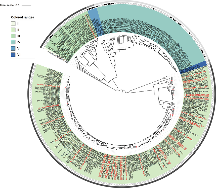 2018 LASV sequencing, continued - Lassa virus - Virological