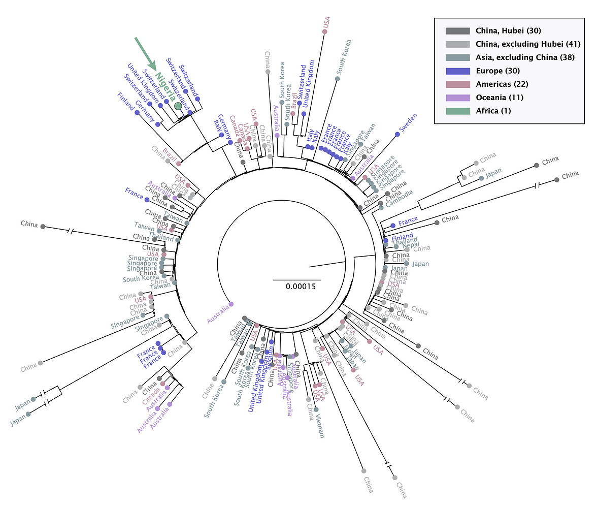 First African SARS-CoV-2 genome sequence from Nigerian COVID-19 case ...