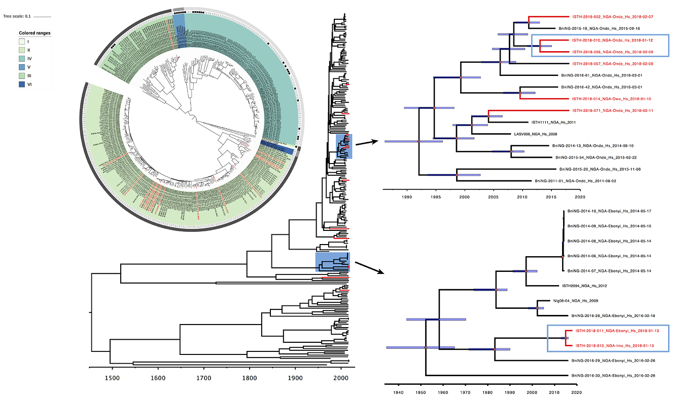 2018 LASV sequencing, continued - Lassa virus - Virological