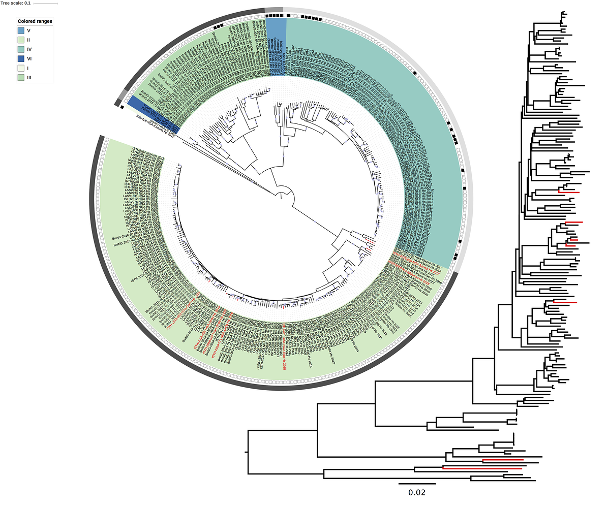 2018 LASV sequencing - Lassa virus - Virological