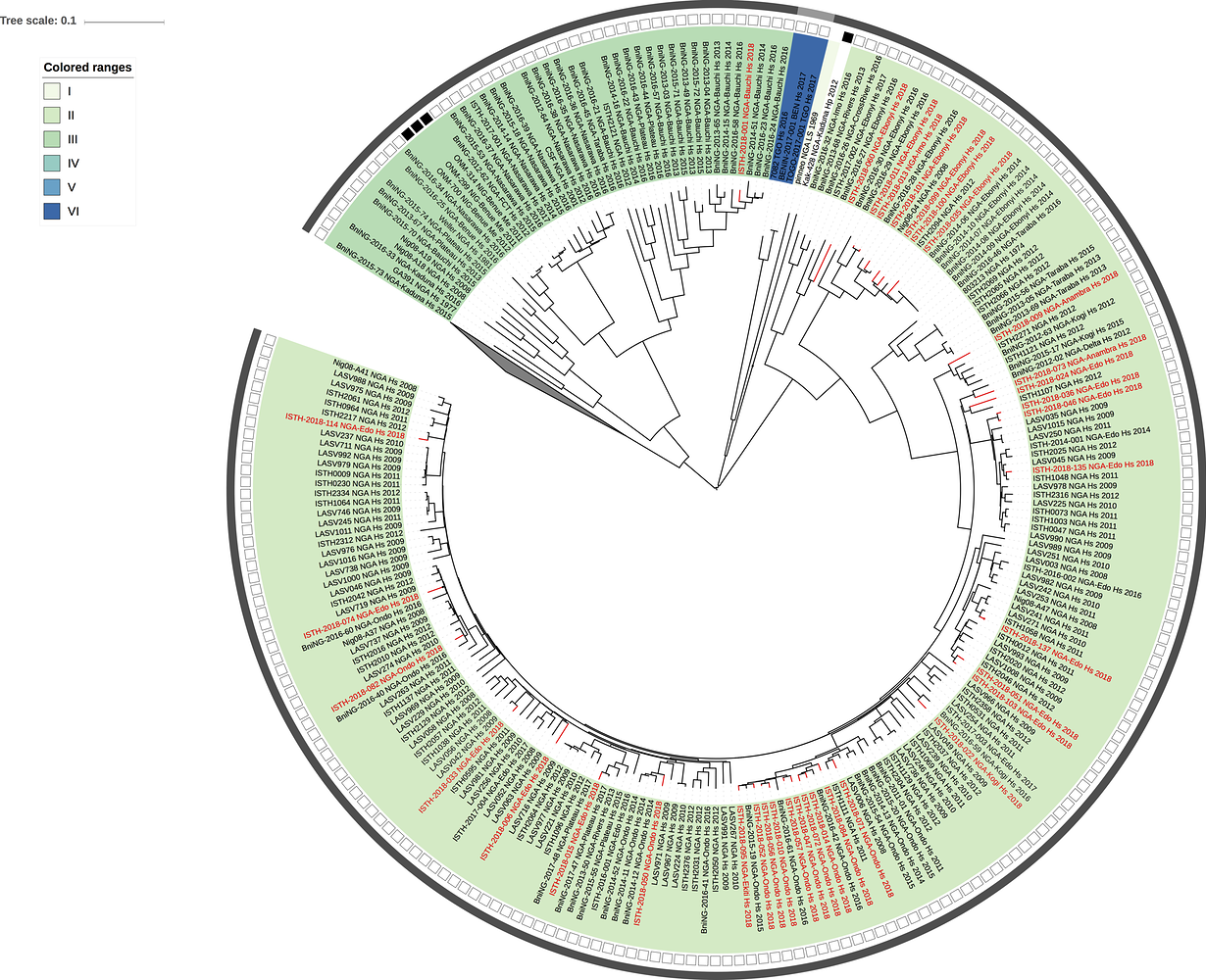 2018 LASV sequencing, continued - Lassa virus - Virological