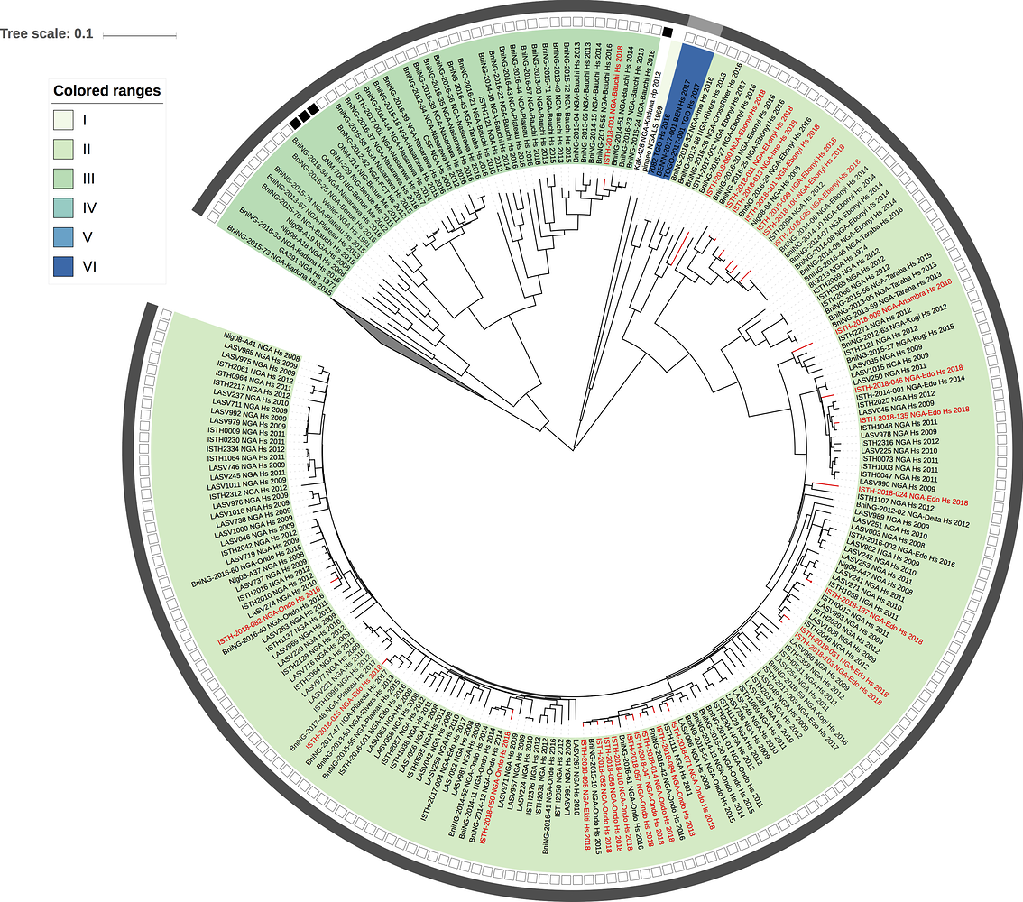 2018 LASV sequencing, continued - Lassa virus - Virological
