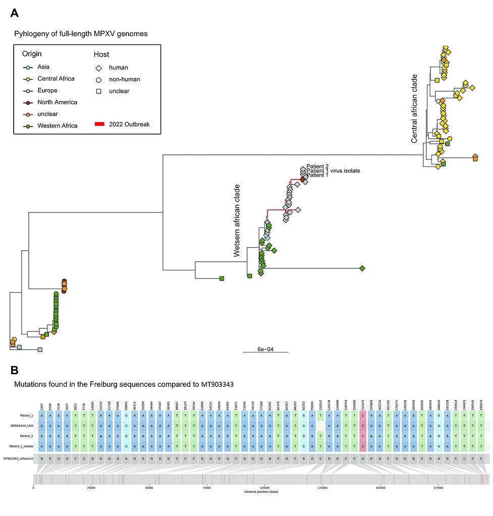 Travel-associated Monkeypox virus genomes from two German patients and ...
