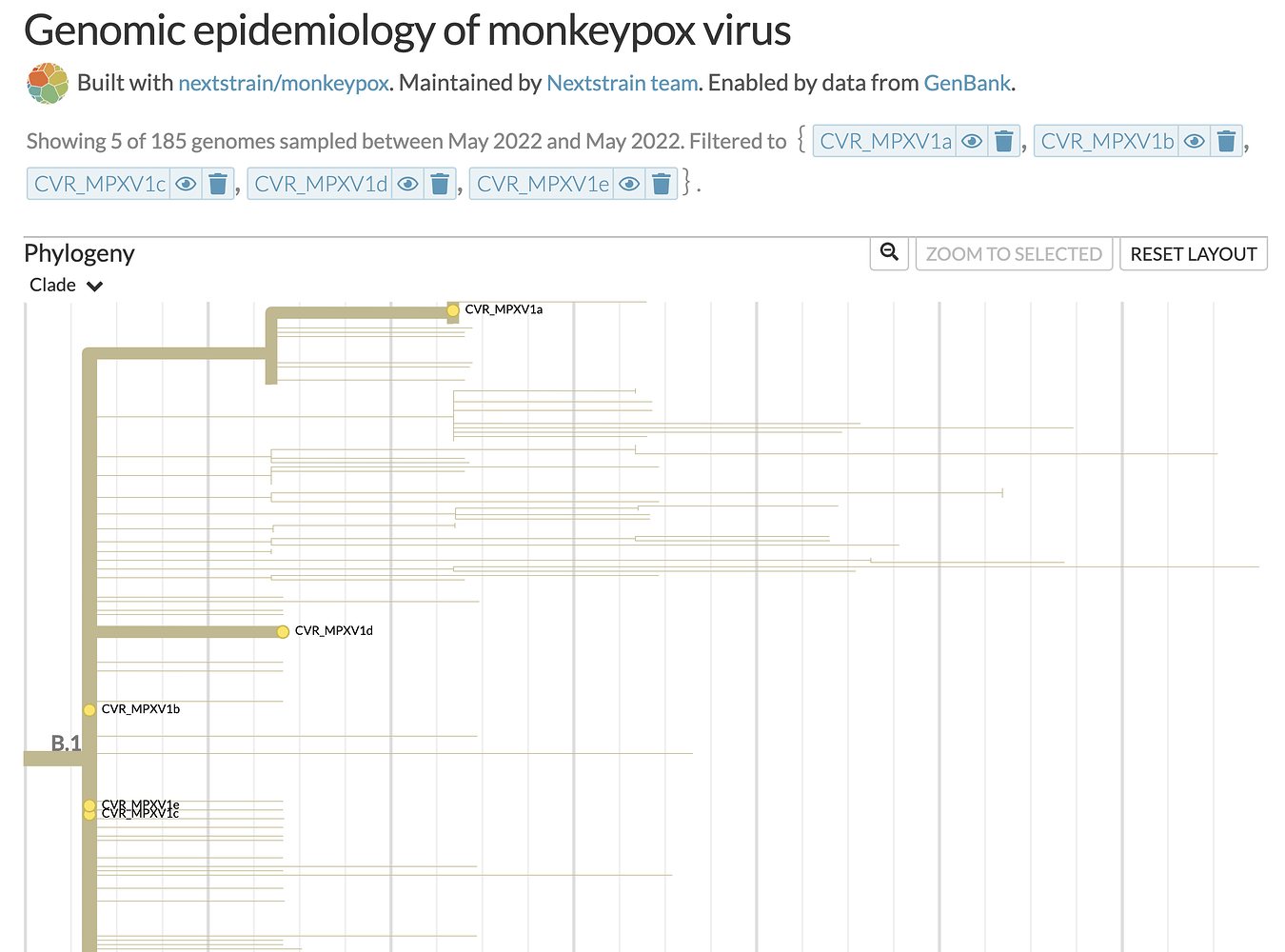 Monkeypox virus genome sequences from multiple lesions indicates co ...