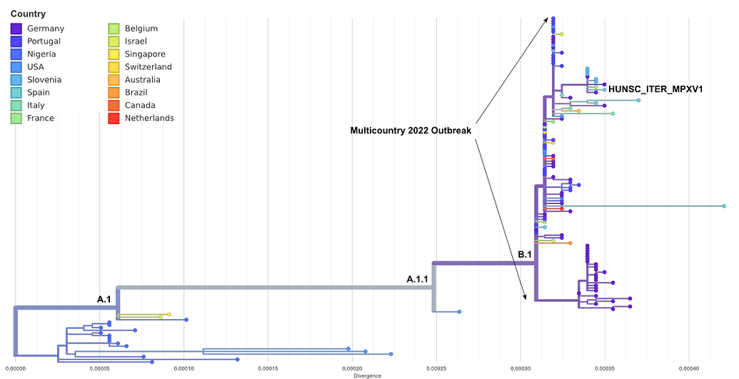 A draft of the first genome sequence of Monkeypox virus associated with ...