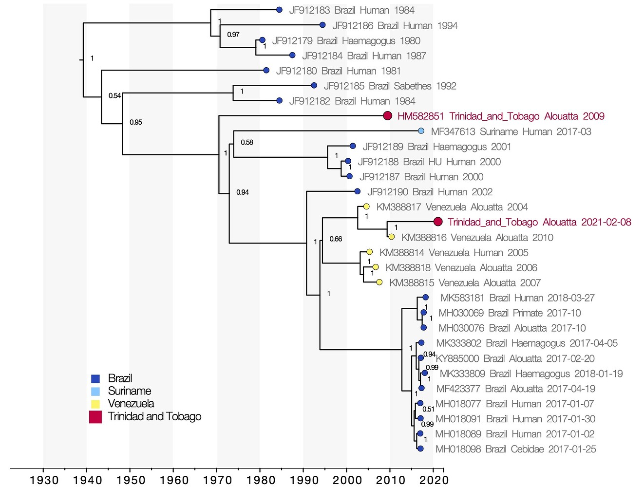 Genomic characterisation of sylvatic yellow fever virus epizootic in ...