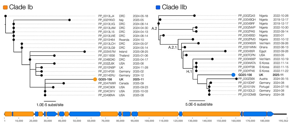 Inter-Clade Recombinant Mpox Virus Detected in England in a Traveller ...