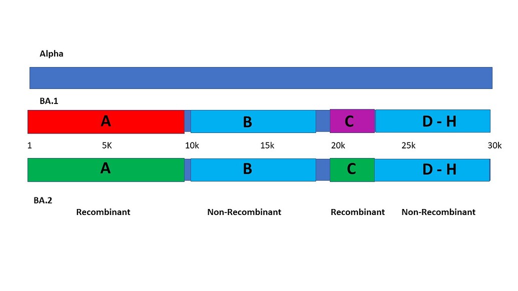 Omicron is a Multiply Recombinant Set of Variants That Have Evolved ...