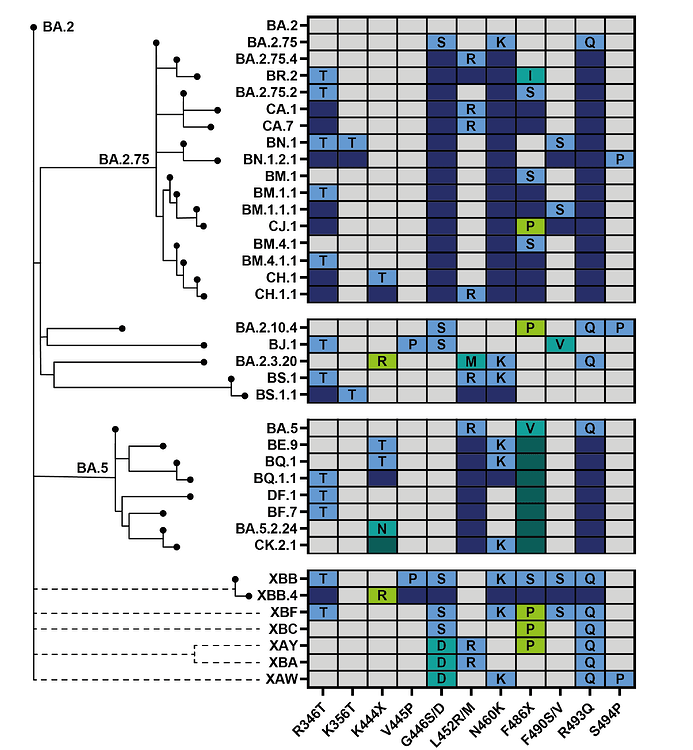 SARS-CoV-2 evolution, post-Omicron - SARS-CoV-2 Molecular Evolution ... SARS-CoV-2 evolution, post-Omicron - SARS-CoV-2 Molecular Evolution ...