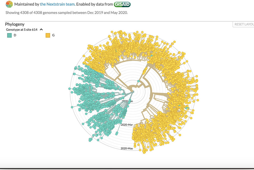 Spike protein D614G variant paper published in Cell today - nCoV-2019 ...