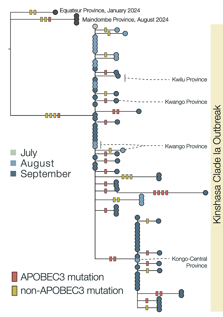 APOBEC3 deaminase editing supports human-to-human transmission in ...