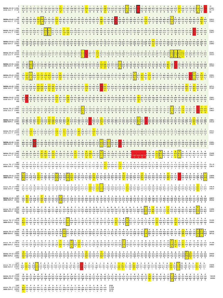 SARS-CoV-2 Spike displays multiple adaptive changes in addition to the ...